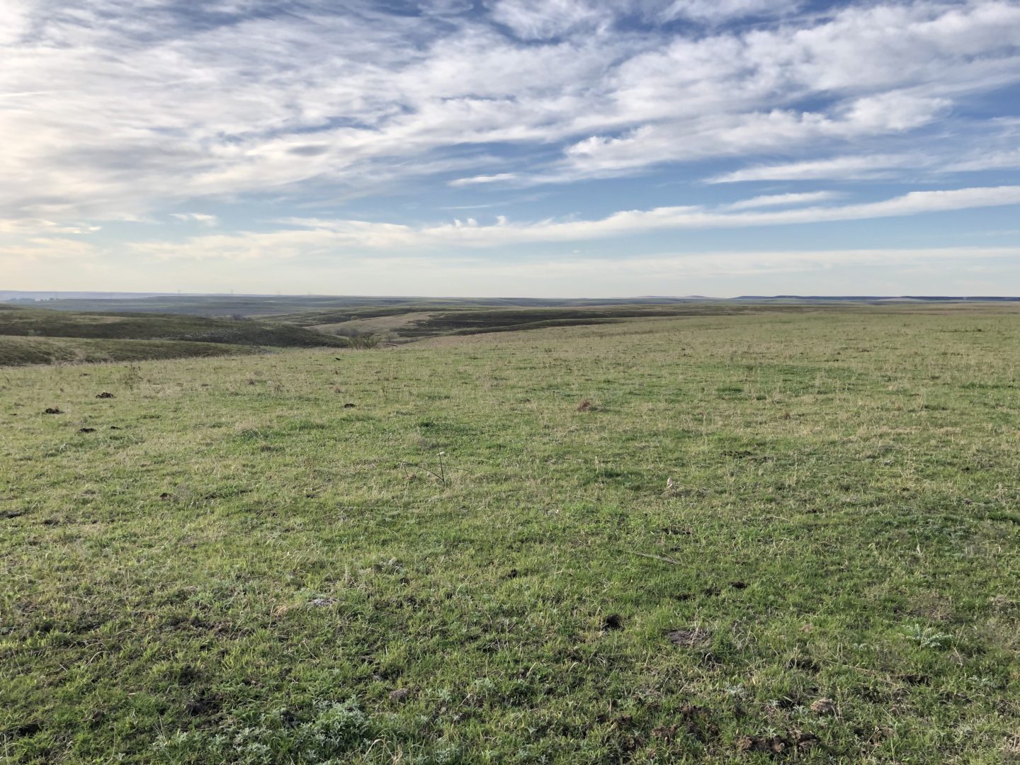 National Contest – National Wildlife Habitat Education Program